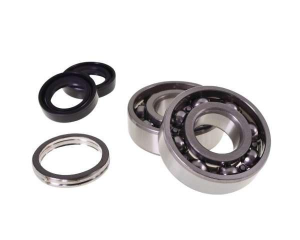 8501010 Kurbelwelle Set 2EXTREME mit Kurbelwellenlager, Dicht...